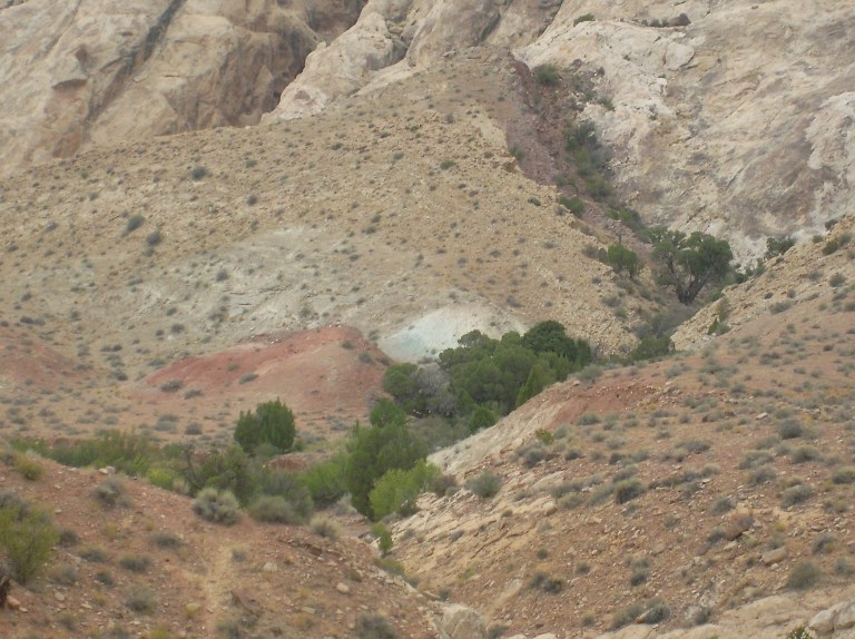 Triangles In Nature – Why? – The Daily Plasma