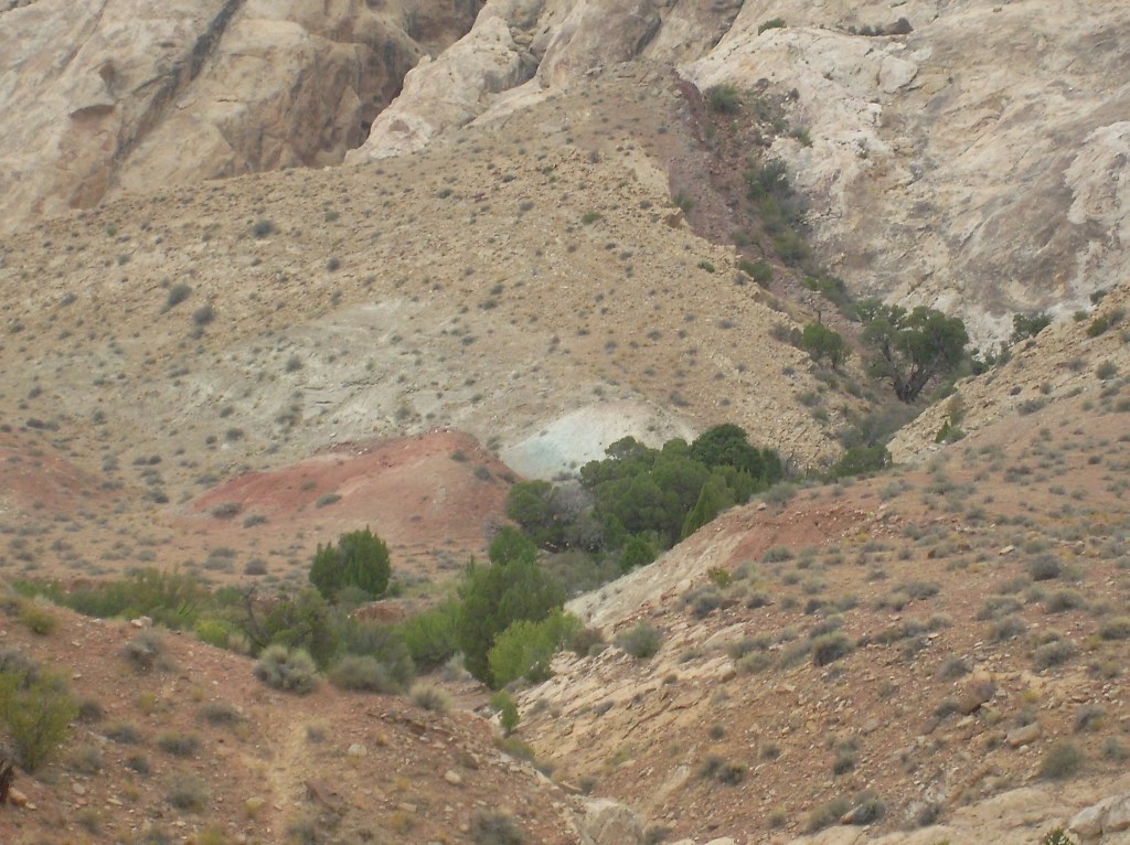 Triangles In Nature – Why? – The Daily Plasma