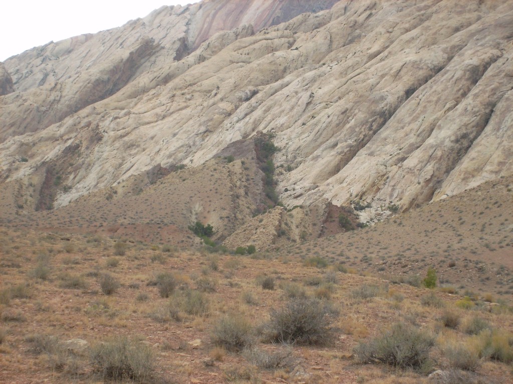 Triangles In Nature – Why? – The Daily Plasma