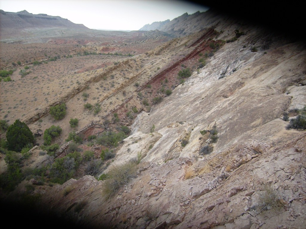 Triangles In Nature – Why? – The Daily Plasma